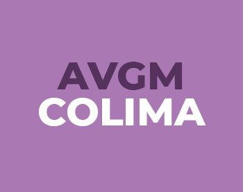 SECRETARIADO EJECUTIVO DEL SISTEMA ESTATAL DE SEGURIDAD PÚBLICA